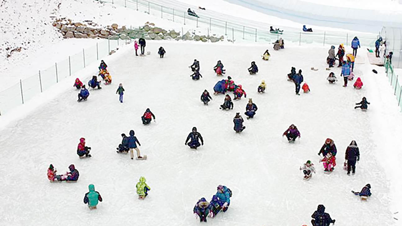 Cheongyang Alps Village Ice Fountain Festival Day Tour - Klook