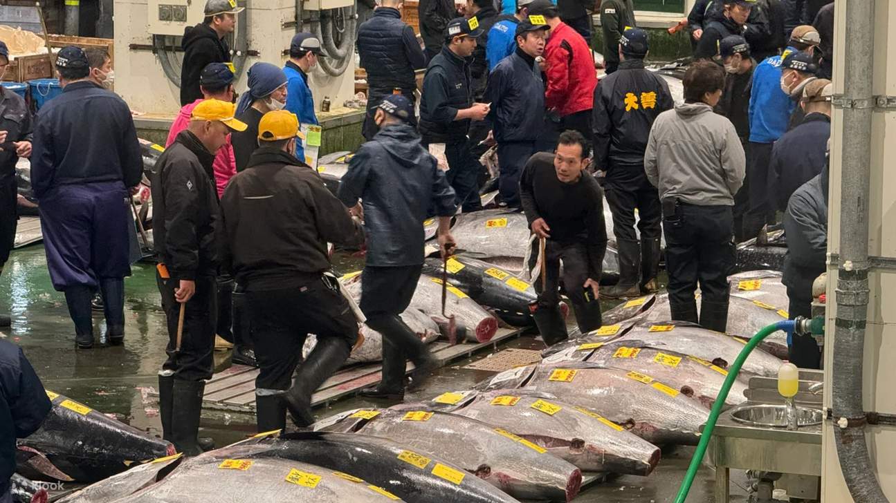 Tokyo: Toyosu Tuna Auction & Tsukiji Market Gourmet Food Tour - Klook ...