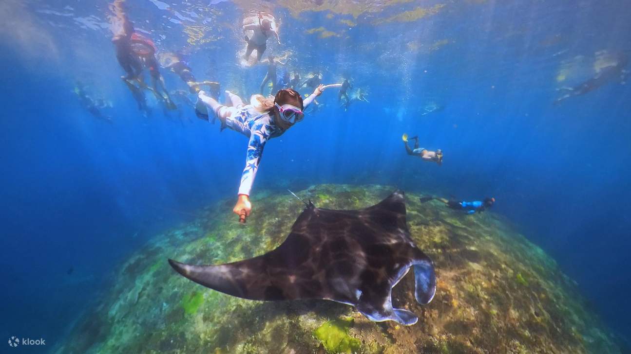 Schnorchel-Tagestour in Nusa Lembongan und Nusa Penida ab Bali - Klook ...
