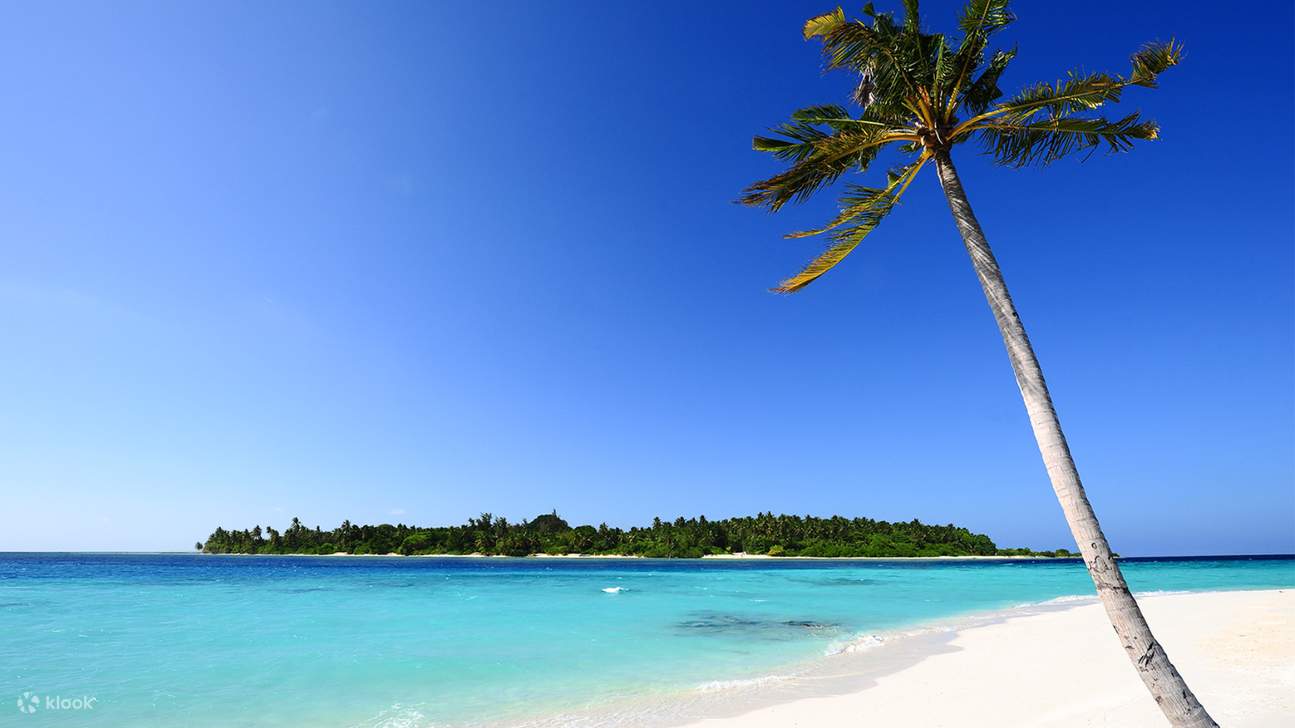 Private Trincomalee Half Day City Tour in Sri Lanka - Klook