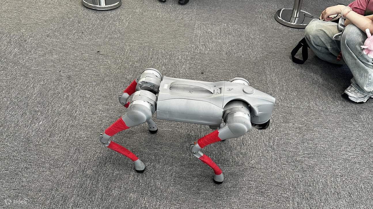 Shenzhen Future Tech Tour: Robots, 3D Printing & Drone Delivery - Klook