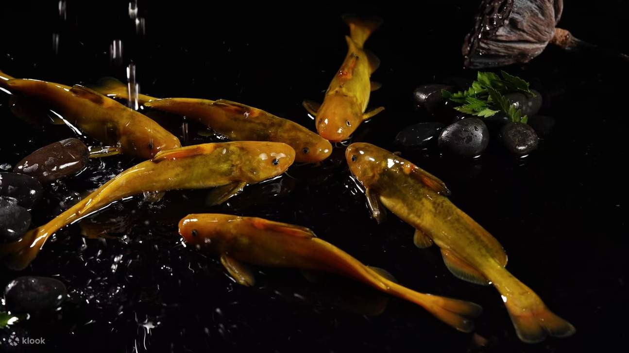 Xin Kitchen · Fish Feast · Chengdu Michelin Guide Restaurant | China ...