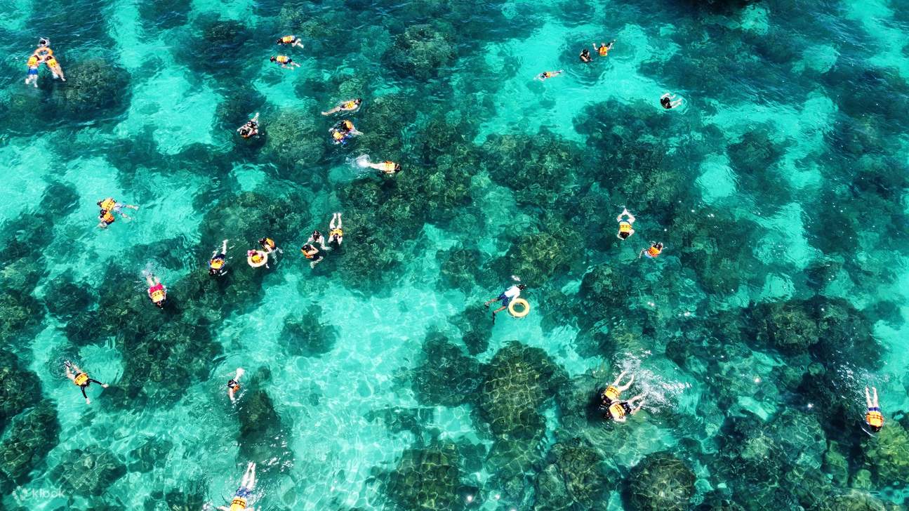 Phuket: Tur Phi Phi, Maya, dan Pulau Bambu dengan Speedboat - Klook ...