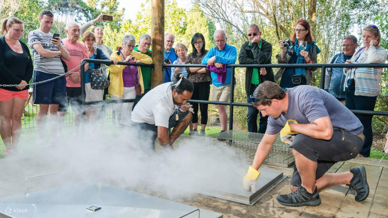 Maori Performance and Hāngi Dinner Buffet in Bay of Islands - Klook Canada