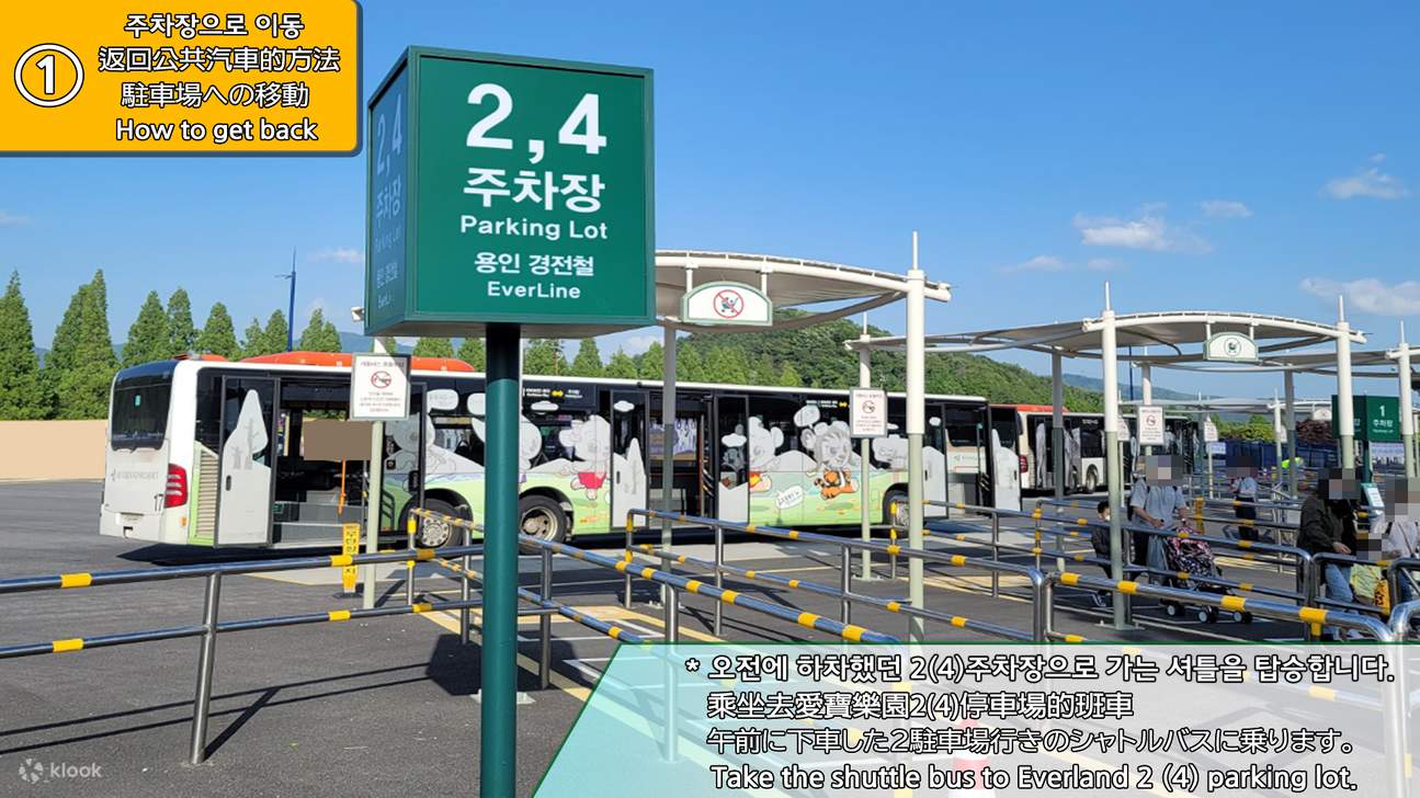 Seoul - Everland Shuttle Bus by Daesung Tour - Klook Singapore