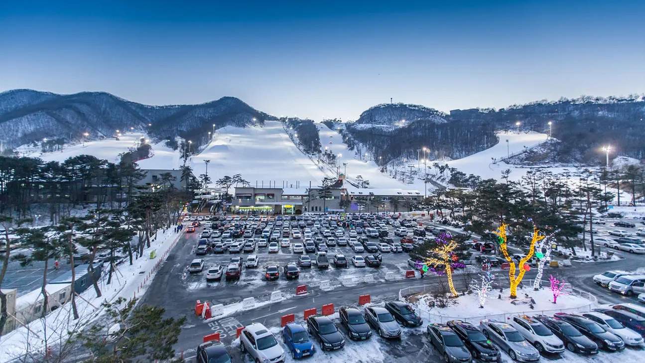 Jisan Forest, Yangji Pine, Konjiam, Bears Town Ski Resort Private Car ...