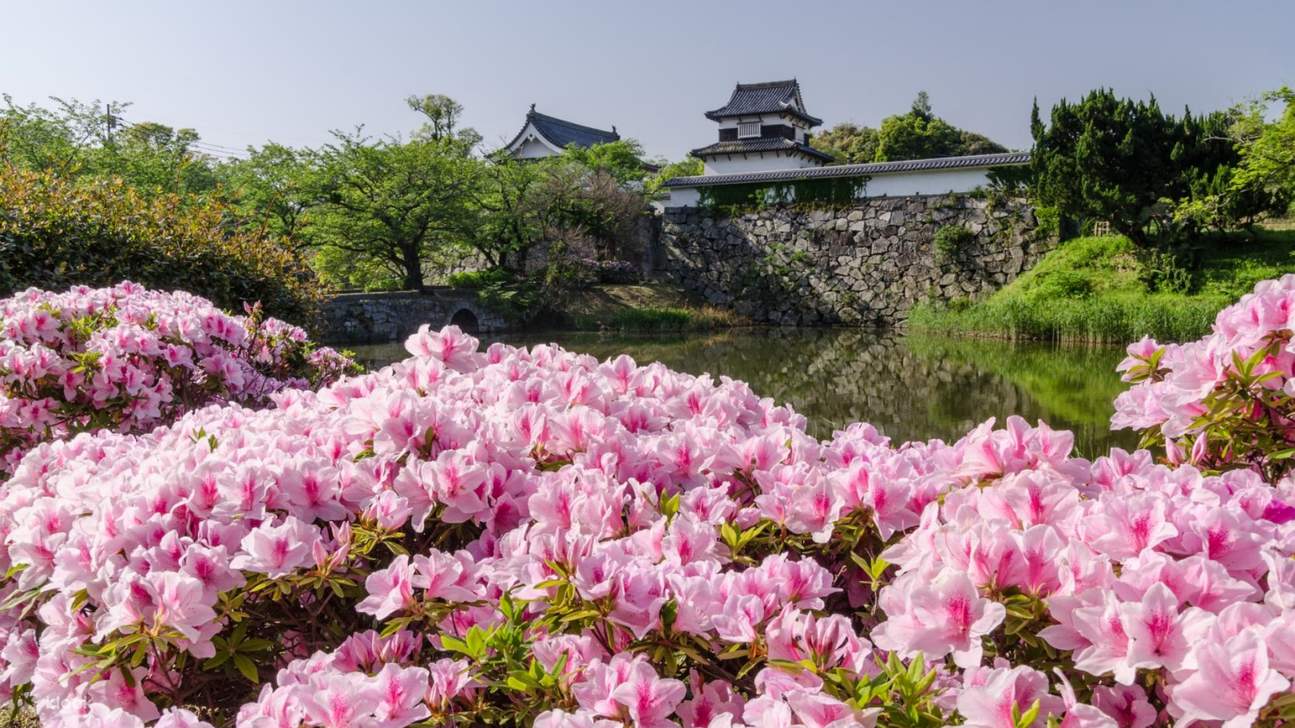 Kyushu Itoshima Secret Spots: A Day Trip to Sennyoji Totoro Forest ...