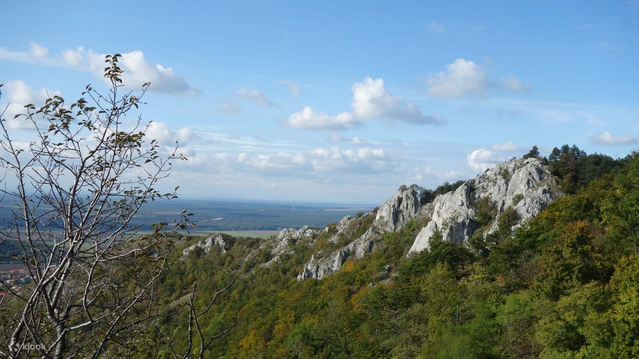 From Vienna: Bratislava Guided Day Tour with Castles & Hidden Gems ...