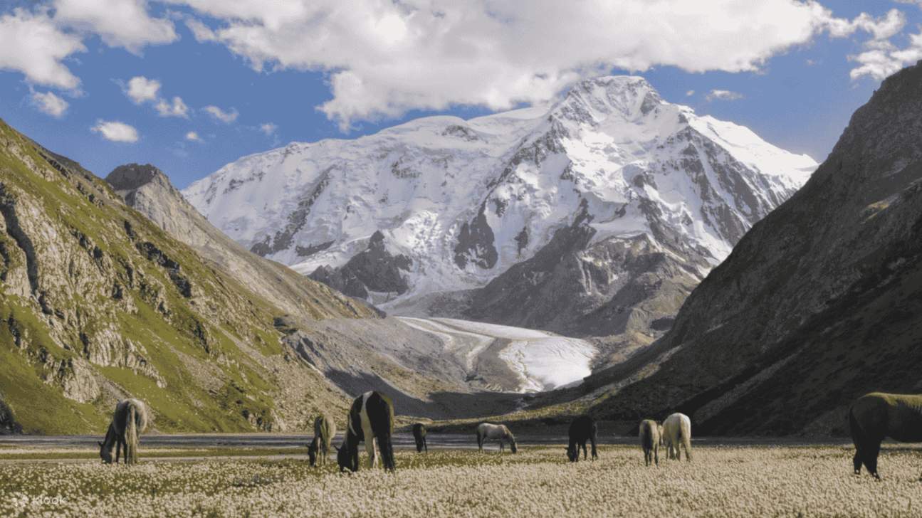 9d Kazakhstan And Kyrgyzstan Tour Klook Philippines