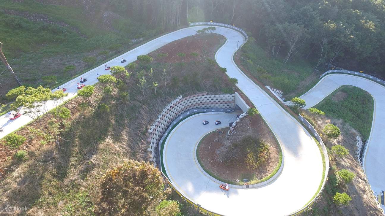 Cherry Blossoms Instagram Private Attractions Day Tour from Seoul ...