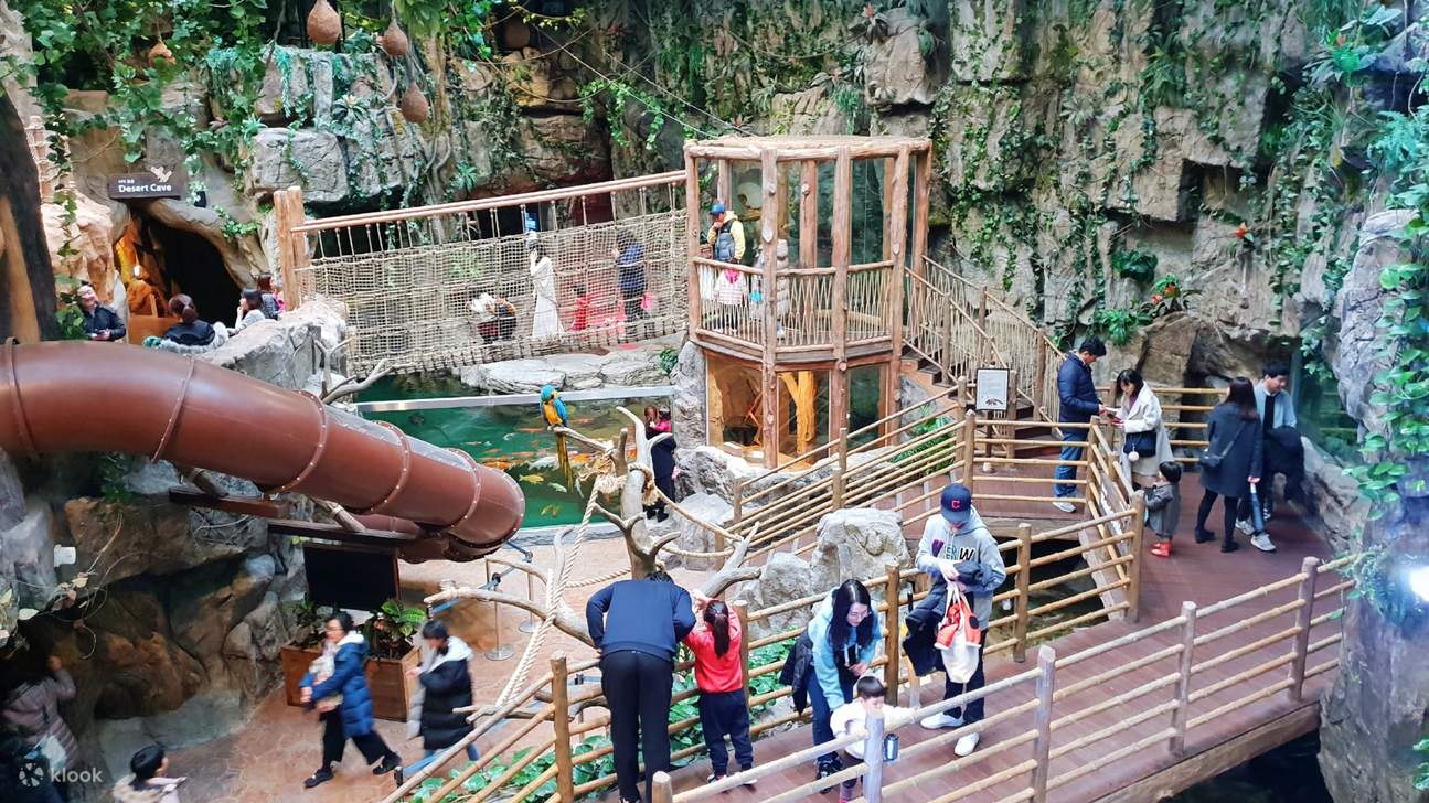 Incheon Ice Fishing & Sled Day Tour From Seoul - Klook