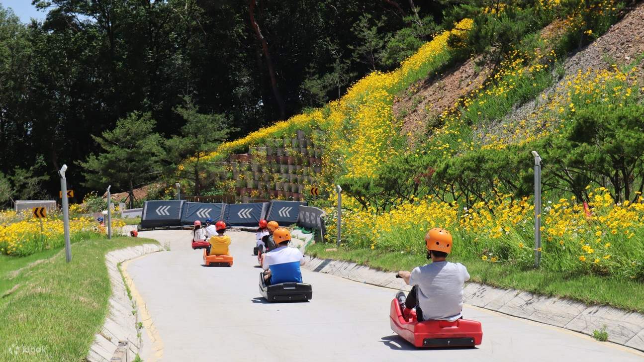 Incheon Day Tour from Seoul: Ganghwado Luge, Railbike, Seagull Ferry ...