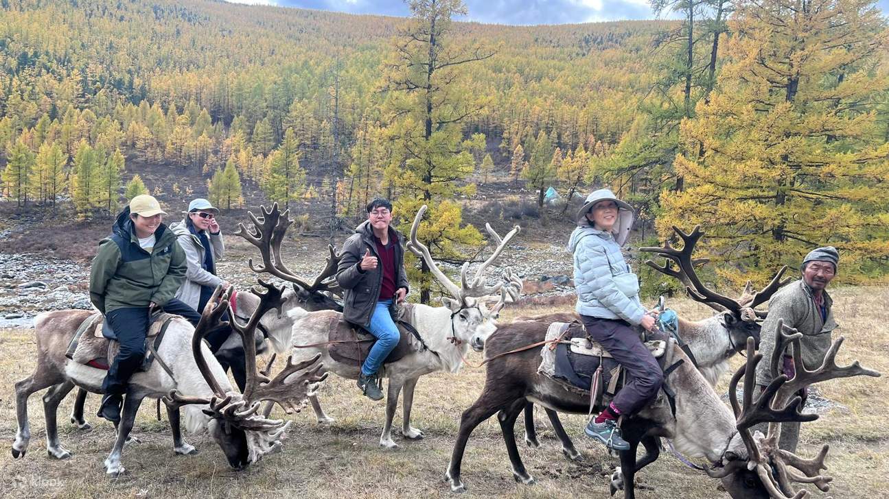 10D9N Mongolian Reindeer Adventure - Klook India