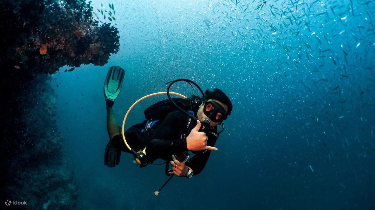 Sumérjase más con Nitrox: Buceador con Aire Enriquecido en Baa Atoll ...