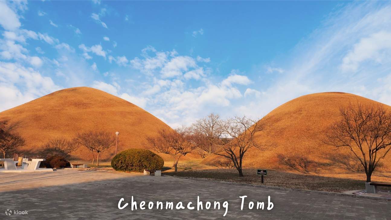 Tour autunnale di Gyeongju Hwangnidan-gil x Tempio Bulguksa (Busan ...