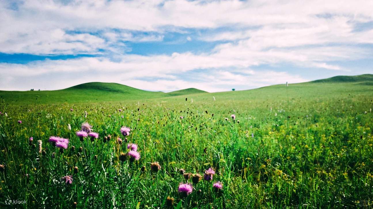 3-Day Best of Inner Mongolia Grassland Round Trip from Beijing ...