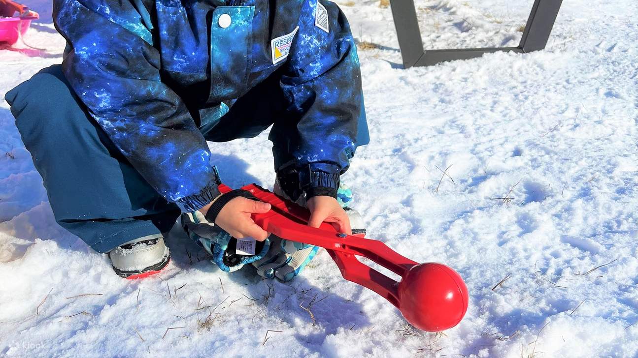 Snow Fun and First Ski or Snowboard at Hokkaido F VILLAGE - Klook