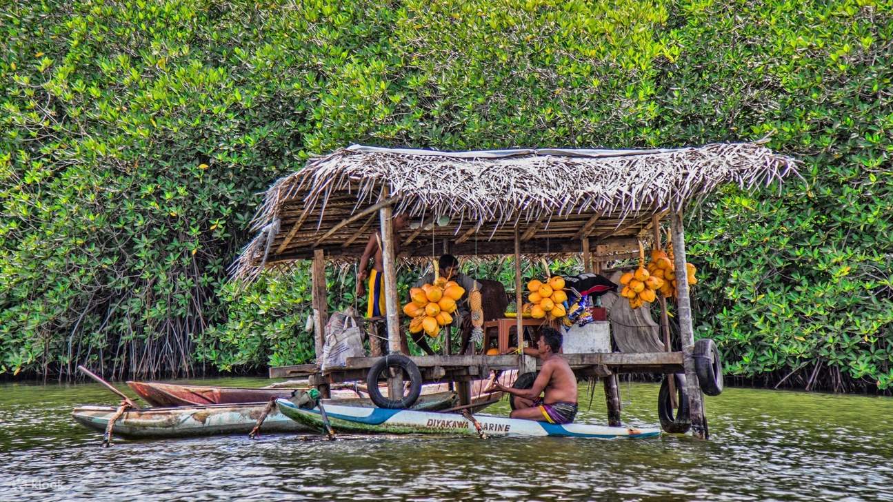 Southern Coast Sri Lanka Day Tour from Colombo or Negombo - Klook Hong Kong