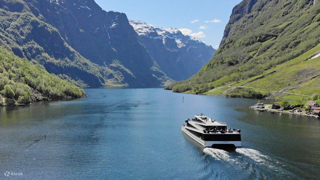 Tour di un giorno: Villaggio vichingo, crociera nel Naeroyfjord e ...