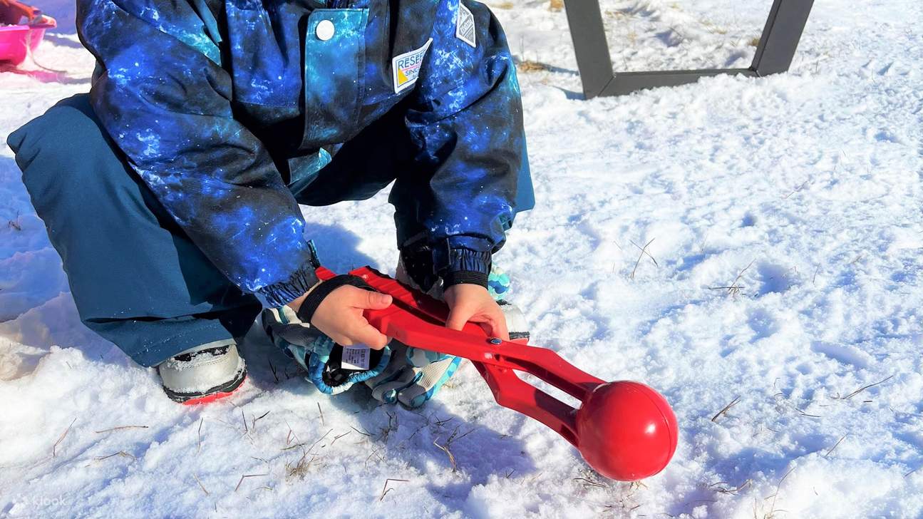 Hokkaido Snow Playing in Ballpark Outlet Shopping One Day Tour - Klook ...