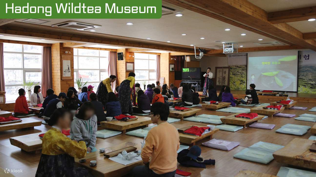 Hadong City One Day Bus Tour From Busan - Klook