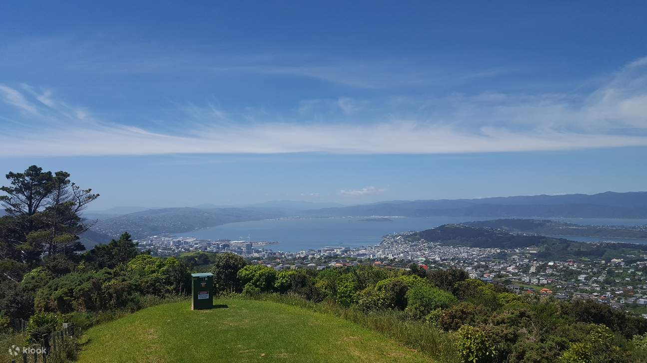 Wellington Small Group Half Day Tour - Klook Australia