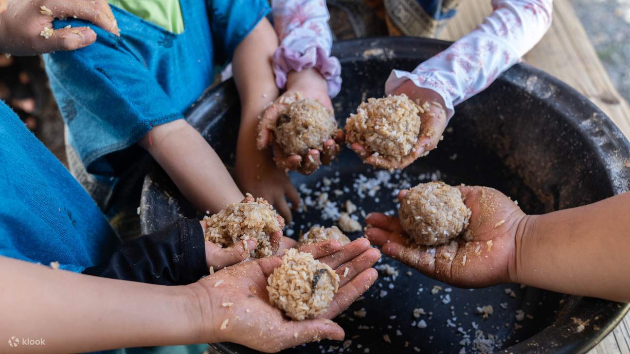 Elephant care activities at the New Elephant Home Elephant Conservation ...