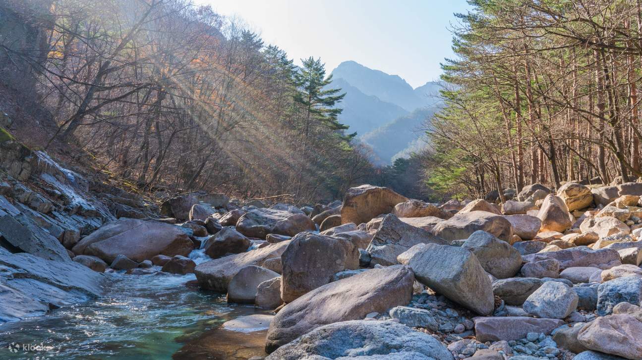 Nami Island and Mt. Seorak Day Tour - Klook United States