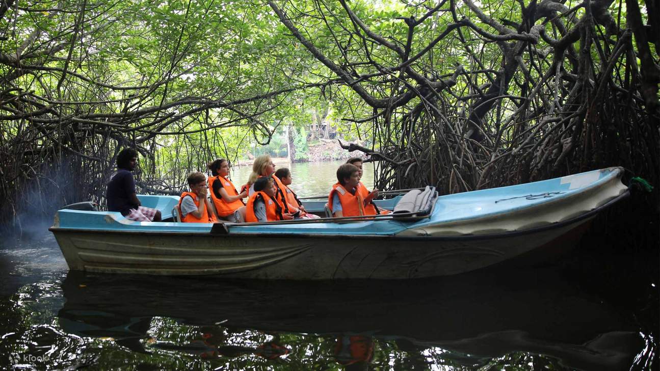 Madu River Private Boat Cruise Safari - Klook Canada