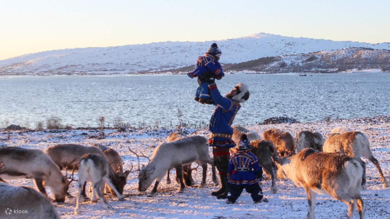 Reindeer Ranch and Sami Cultural in Tromso - Klook United States