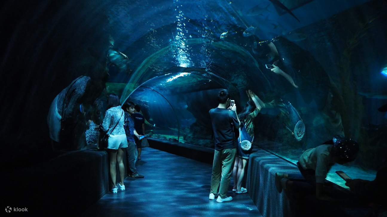 Siam Platinum Tourist Privilege Card (Tersedia di Siam Center, Siam ...