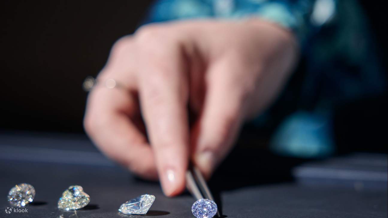 Royal Coster Diamonds guided tour in Amsterdam - Klook Philippines