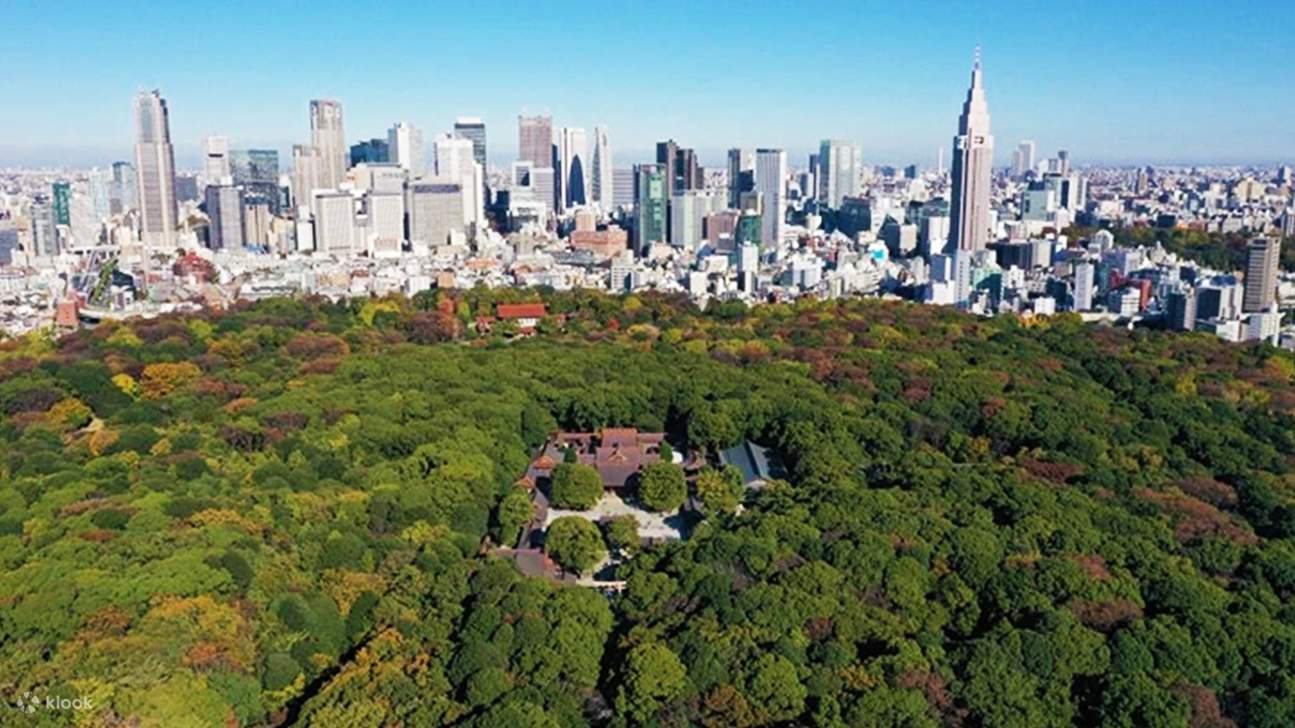 Shibuya Walking Tour with a Local Guide, Meiji Shrine in Tokyo - Klook ...