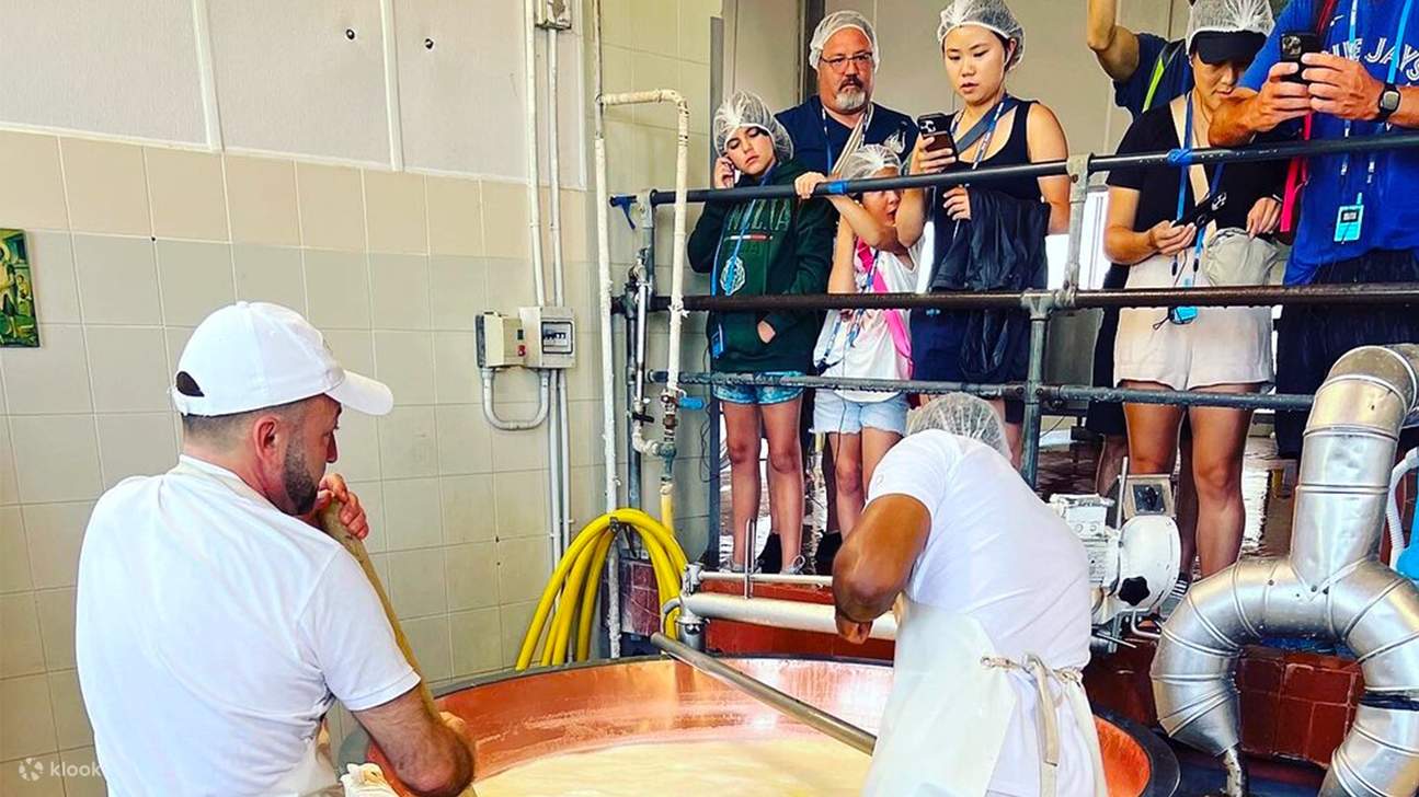 Parmesan cheese and ham factory tour in Parma - Klook