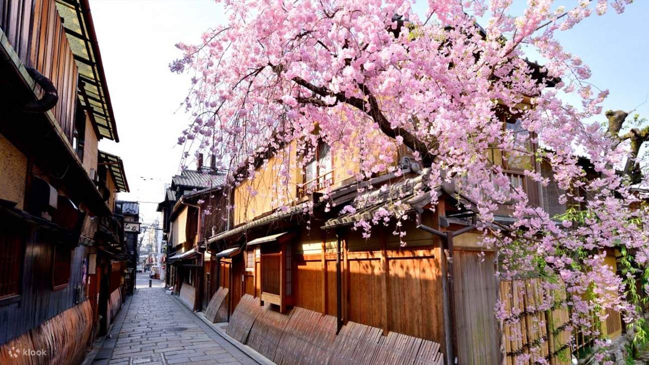 Kyoto: Geisha & Gion History Walking Tour - Klook