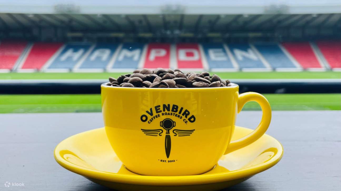 Hampden Park Stadium tour and Scottish Football Museum ticket - Klook ...