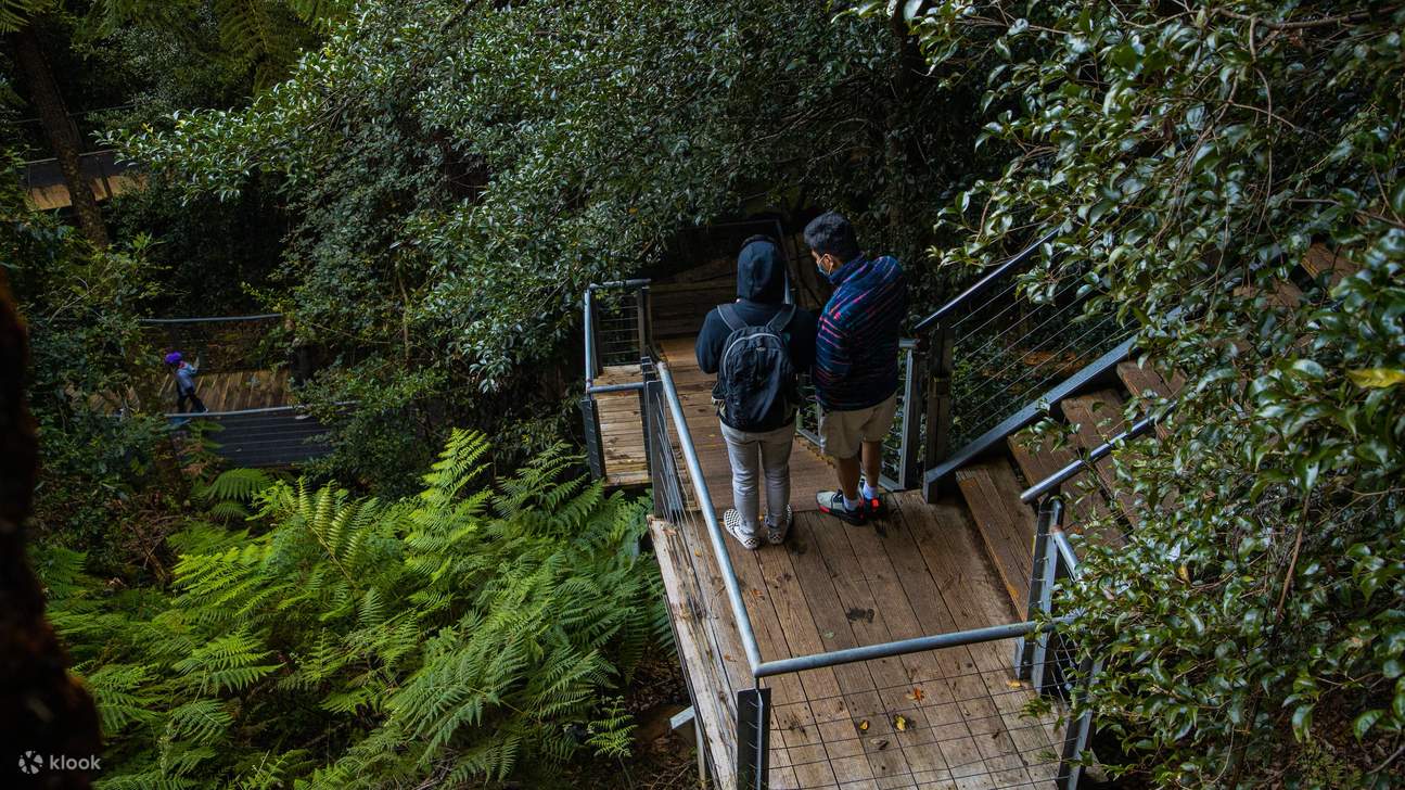 Blue Mountains & Scenic World Tour from Sydney - All Inclusive - Klook ...