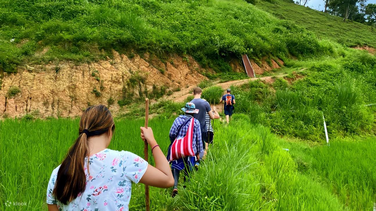 Chiang Mai: Mae Wang Trekking and Bamboo Rafting Private Tour - Klook