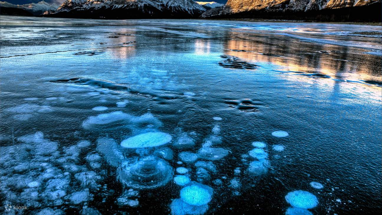 Peyto Lake & Ice Bubbles at Abraham Lake Frozen Journey - Klook United ...