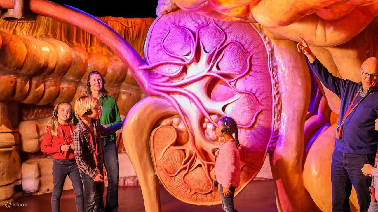 CORPUS, Journey through the human body ticket in Oegstgeest - Klook ...