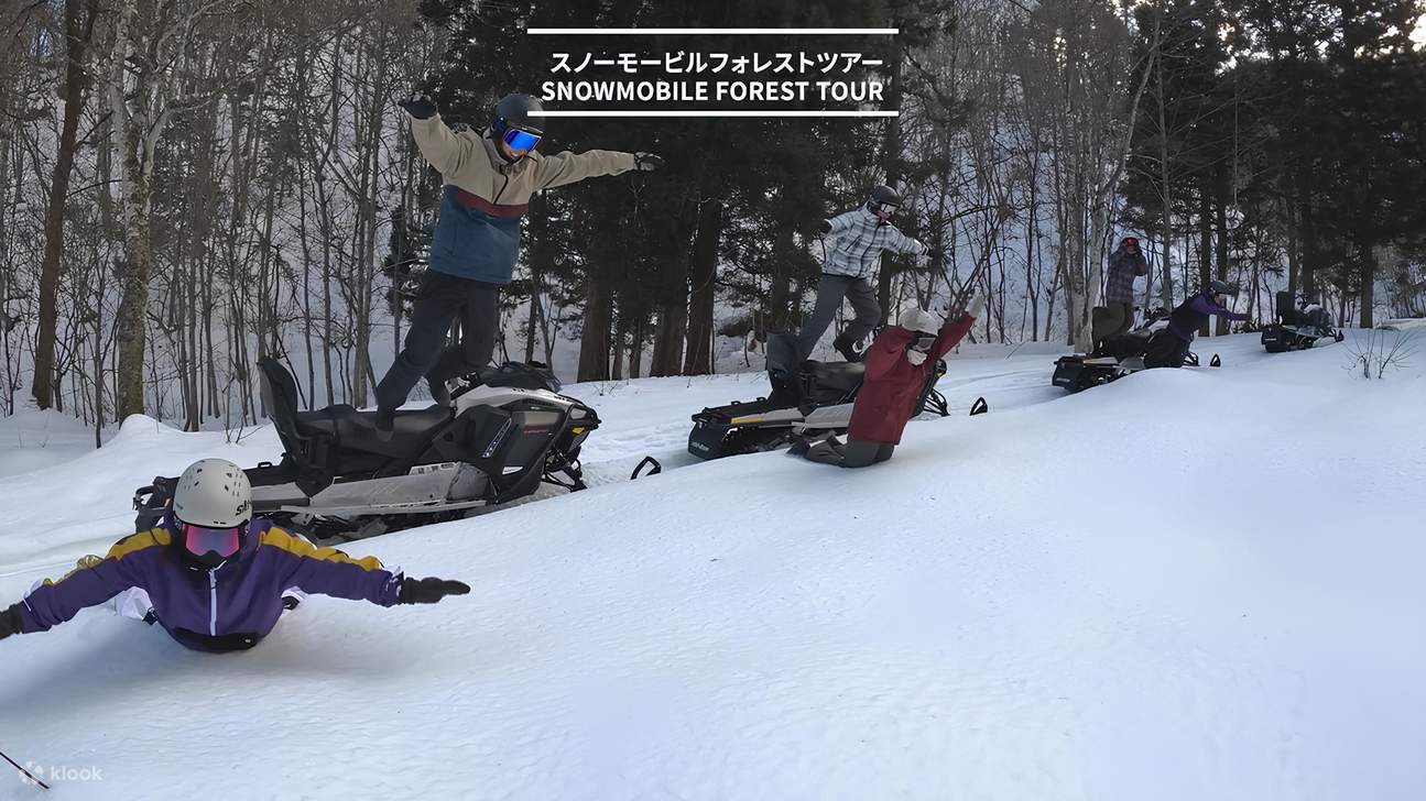 Yadake Ski Resort Snowmobile Forest Exploration Experience (Nagano ...