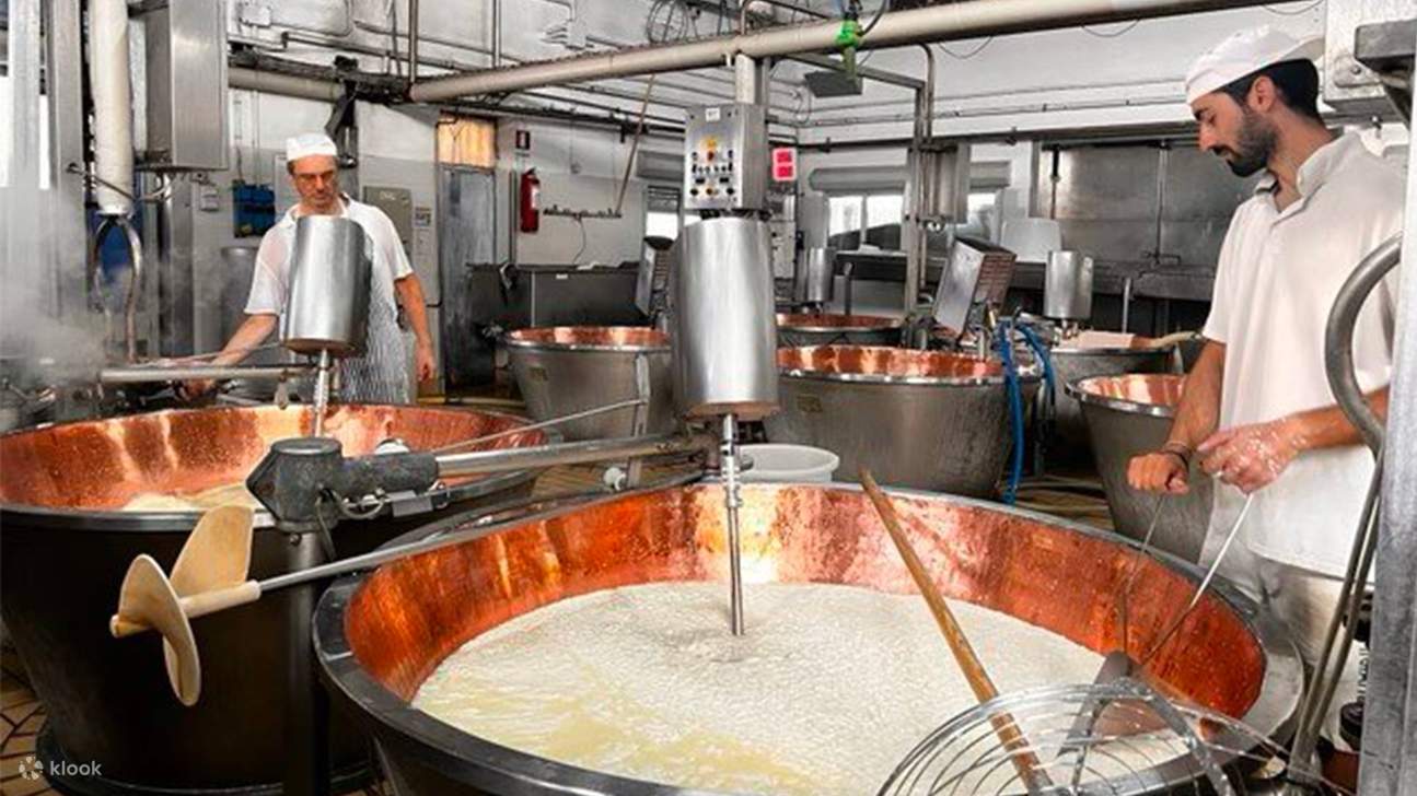 Parmesan cheese factory tour with tastings in Parma - Klook Australia