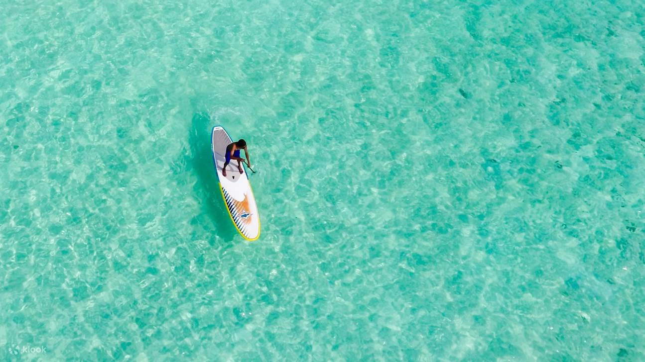 布里斯班的海豚和天阁露玛沉船浮潜游轮 Klook客路