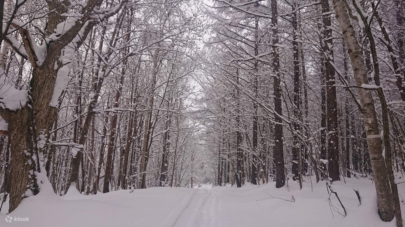 Hokkaido Sapporo Snowmobile Land Experience: Morning Skiing + BBQ Lunch ...
