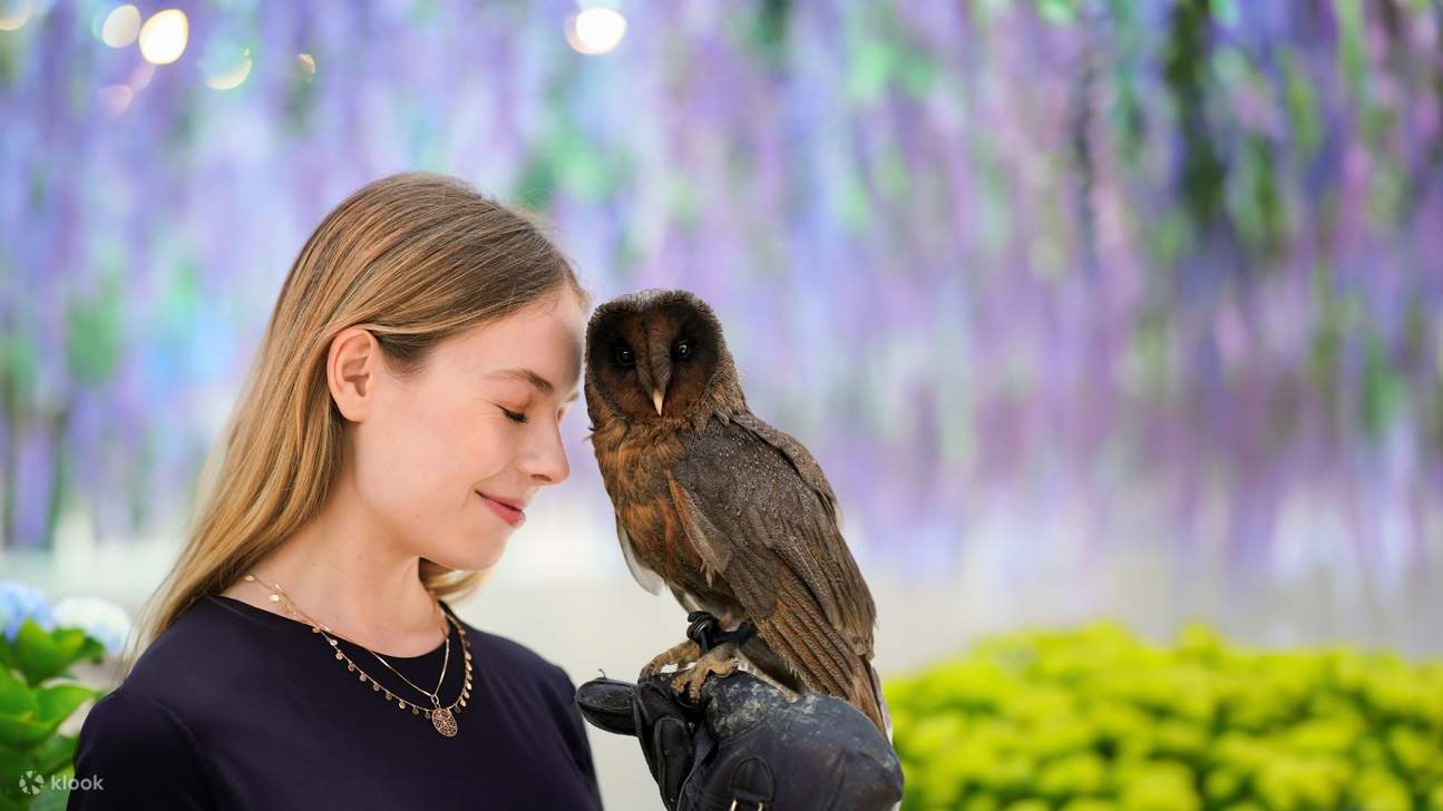 Eden Cherry Blossom Road x AQUAFIELD Jjimjilbang x Begonia Bird Park - Klook New Zealand