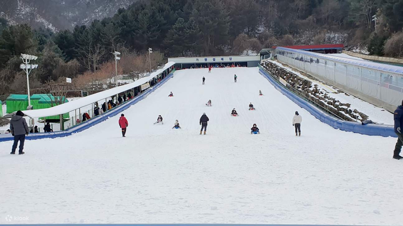 Eobi Ice / sledding / Strawberry / Morning Calm(Starlight) Day Tour - Klook