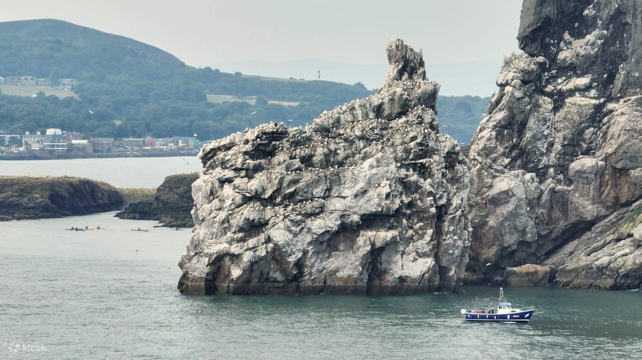 Howth Coastal Boat Tour with Ireland's Eye Ferries - Klook États-Unis