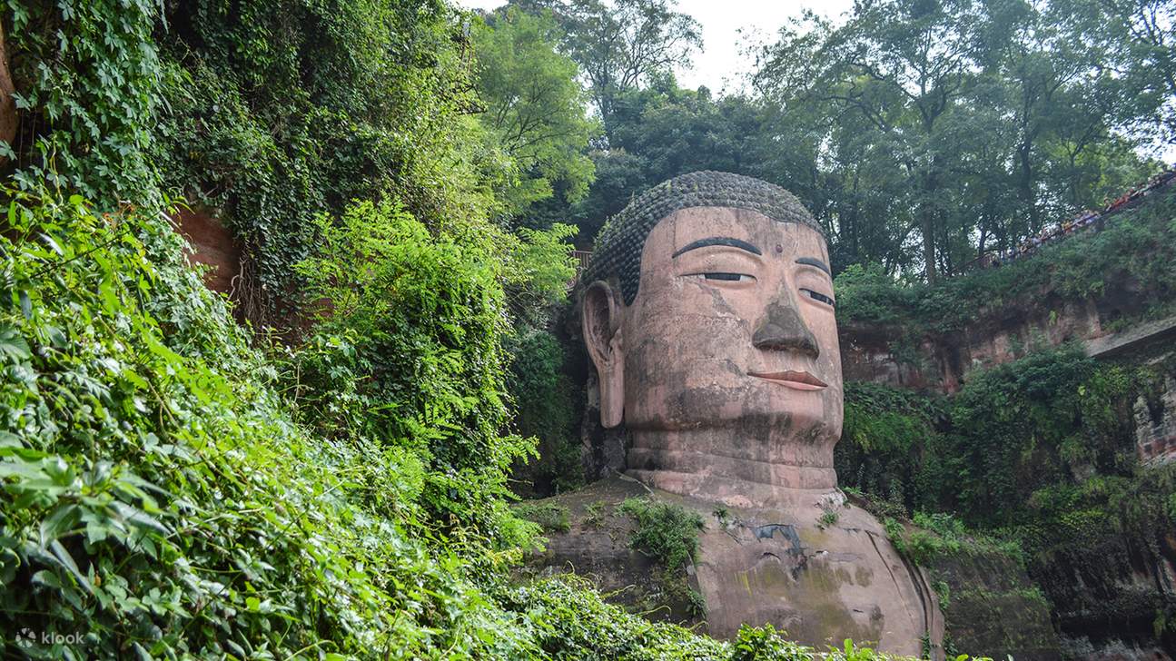 Giant Panda Base + Leshan Giant Buddha One-Day Tour (Depart from ...