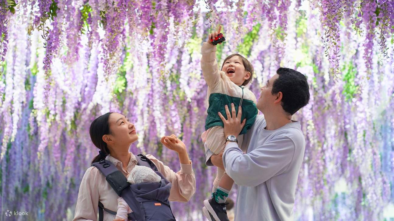 Eden Cherry Blossom Road x AQUAFIELD Jjimjilbang x Begonia Bird Park - Klook Australia