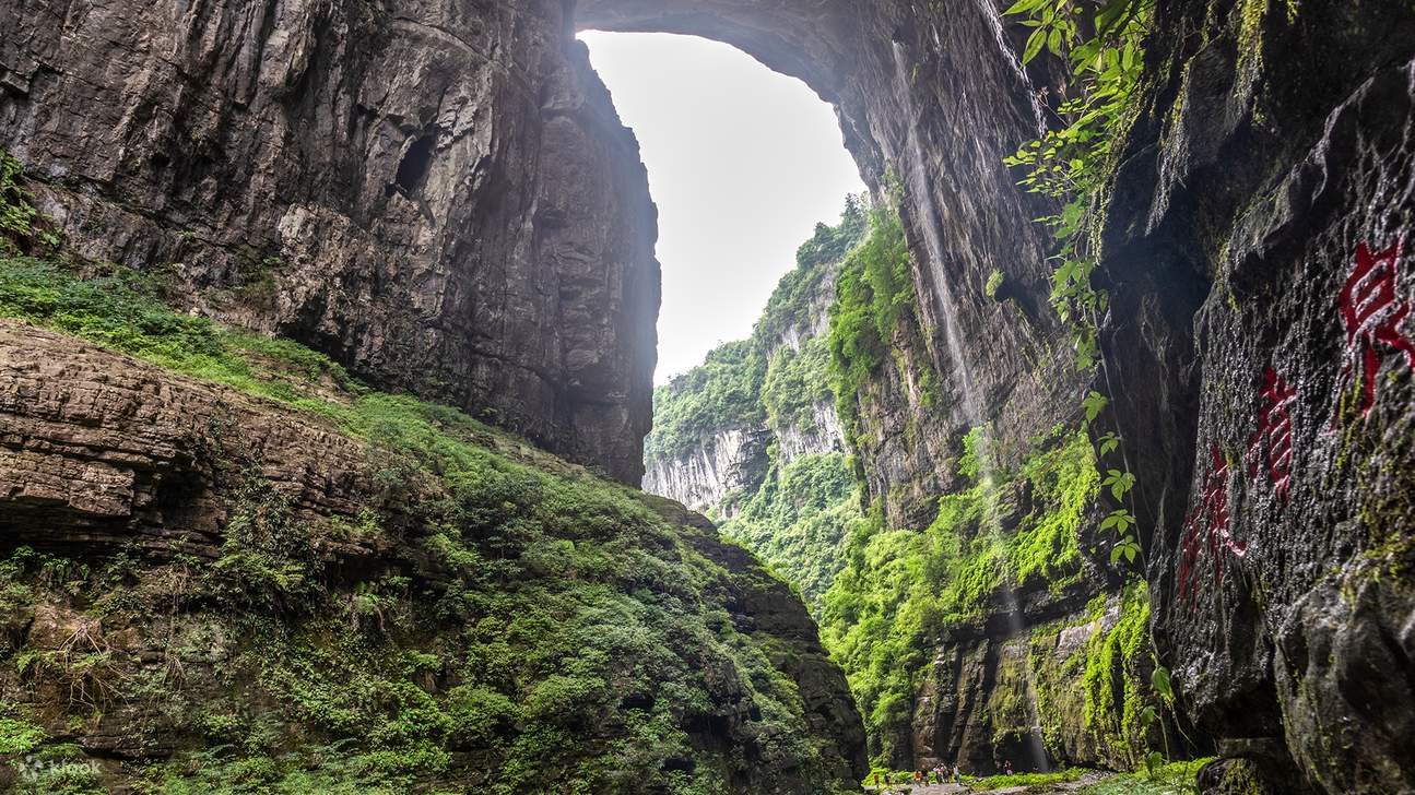 5-Day Private Tour of Chongqing City and Wulong (City Walk in Chongqing ...